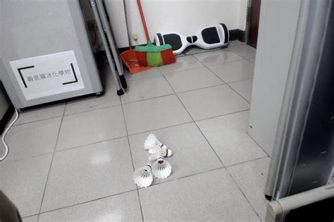 Badminton Robot Object Detection Dataset And Pre Trained Model By