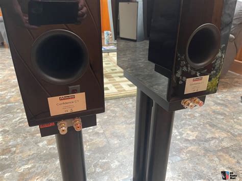 Dynaudio C1s Photo 4664057 Us Audio Mart