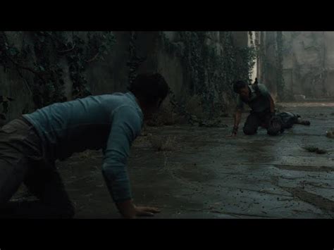 The Maze Runner Movie Alby