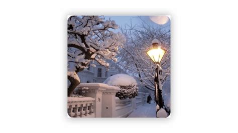 94 Tree Css Html Codepen Project With Source Code Nssiddtutorial