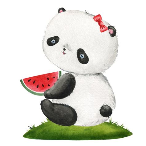 Cute Panda With Watermelon On Isolated Background Watercolor