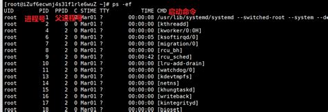 Linux Linux 进程管理 《工具》 极客文档