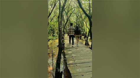 කොළඹ මෙහෙම තැනක් තියනවා කියලා දැනගෙන හිටියද🍃😲 Viralvideo Travel Youtubeshorts Love