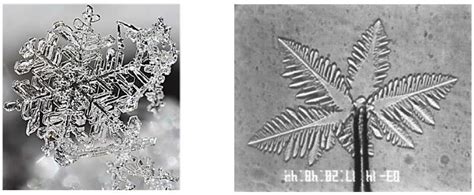 Formation Of An Interfacial Pattern In Dendritic Growth And Hele Shaw Download Scientific