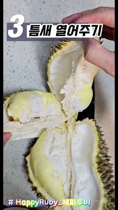 두리안 두리안 열대과일 두리안맛 아이와함께 방학때뭐하지 아이와놀기 방학일상 두리안까기 두리안까는법 두리안손질 두리안냄새 두리안한국 Youtube
