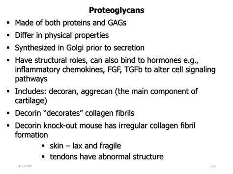 3 8 Extracellular Matrix Pptx