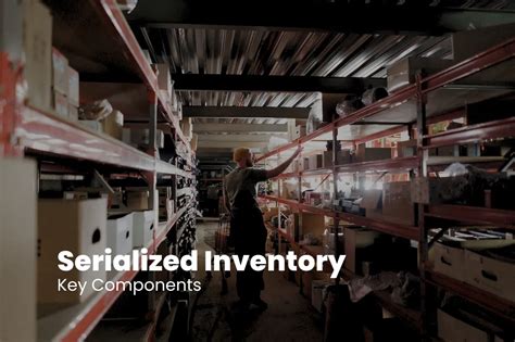 Serialized Inventory Benefits Challenges Implementation