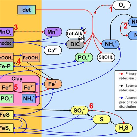 simplified sketch of state variables and processes in the sediment