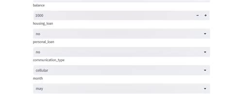GitHub NoorhanHamed Bank Marketing Campaign Predict Customer