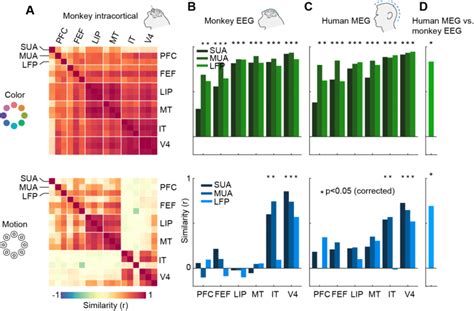 Representational Similarity Between Areas And Measurement Scales A Download Scientific