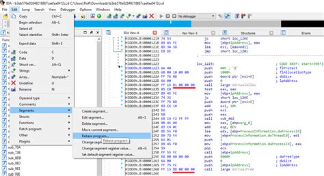 Weekend Project A Custom Ida Loader Module For The Hidden Bee Malware