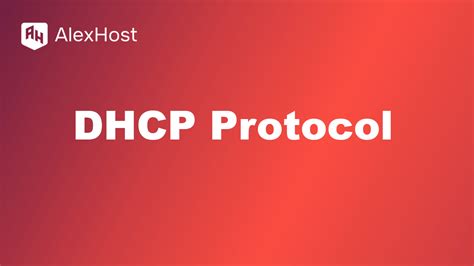 Dhcp Protocol ⋆ Alexhost Srl