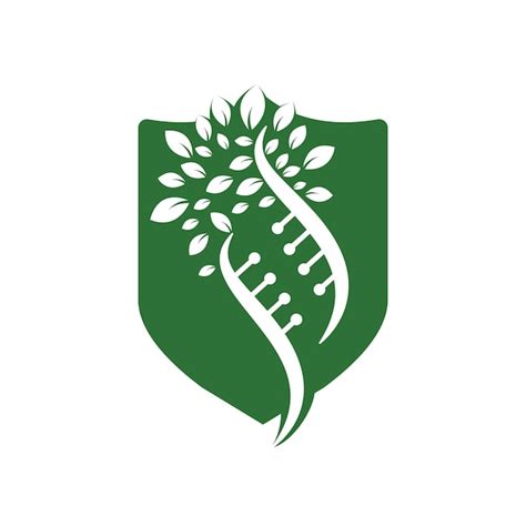 Dna Baum Vektor Logo Design Premium Vektor