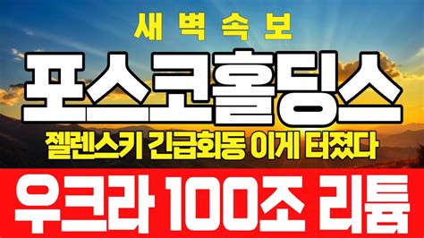 포스코홀딩스 🚨 긴급속보 젤렌스키 우크라이나 리튬 공식 발언 100조 엄청난호재 이때부터 급등합니다 에코프로 에코프로비엠 박순혁 서정덕tv 삼성전자 Youtube