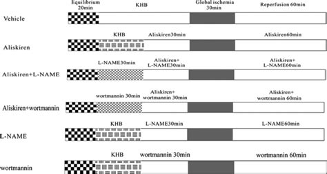 Schematic Illustration Of Different Experimental Treatments In