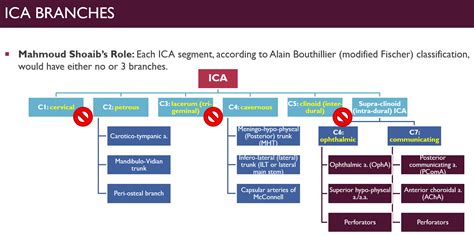 Always Forgetting The Branches Of The Internal Carotid Artery Ica 😅 Here Is My Simple Rule
