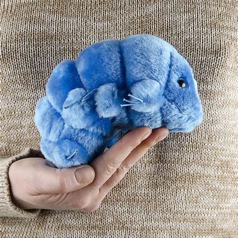 Water Bear T