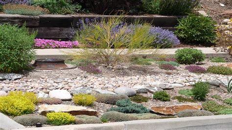 Landscape Ideas For Drought Areas