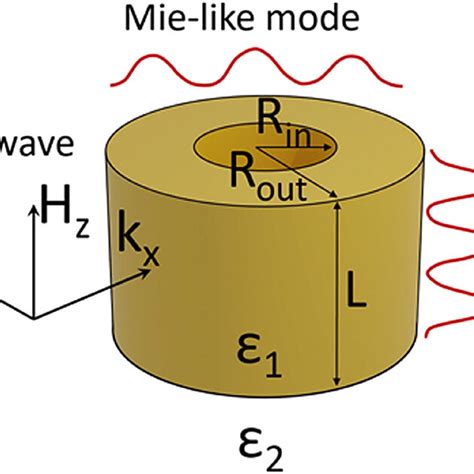 Te And Tm Polarized Waves Incident On A Dielectric Ring Resonator With
