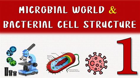 Microbial World And Bacterial Cell Structure Youtube