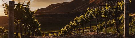 E Shop Bernard Massard