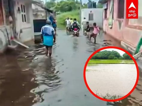 Tamil Nadu Rain Detailed Report Of Heavy Rain In Thiruvarur Watch Video Thiruvarur மூழ்கிய