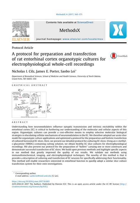 Pdf A Protocol For Preparation And Transfection Of Rat Entorhinal Cortex Organotypic Cultures