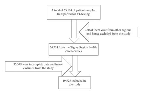 Diagrammatic Presentation Of The Sampling Procedures Download