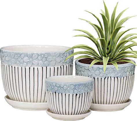 Decorative Plant Planters Houseplants And Flowers