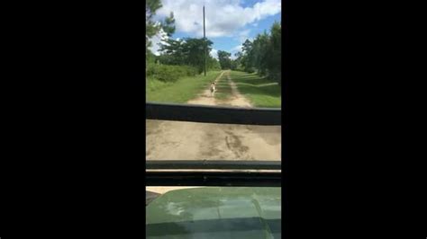 how fast can a gsp run exploring the top speed of the german