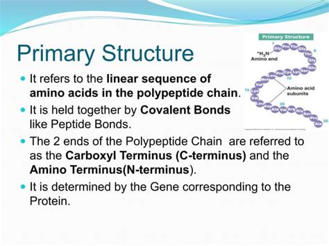 Nucleic Acid Protein Structure And Functions Ppt