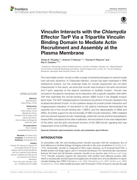 Pdf Vinculin Interacts With The Chlamydia Effector Tarp Via A Tripartite Vinculin Binding