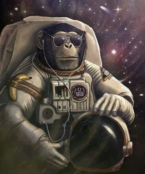 Eod Mañana Eow Eom For Sndl Discussion Thread Back Your