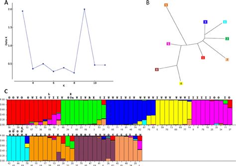 Population Structure Analysis Using Structure 2 40 A Deter Mination Download Scientific