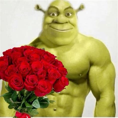 Пин от пользователя Porravei6 на доске Memes Шрек Мемы знаменитостей Троллфэйс