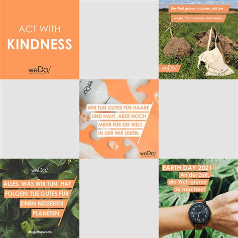 Wedo Klimawiese Baslerbeauty