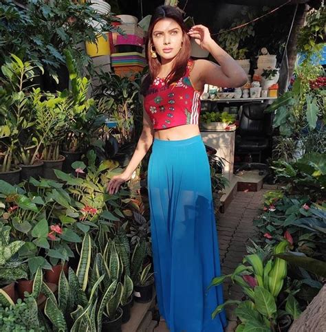 Sherlyn Chopra The 36 Year Olds Dare To Bare Journey To Fame