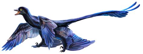 Microraptor The Four Winged Glider Smaller Than A Housecat Dino World