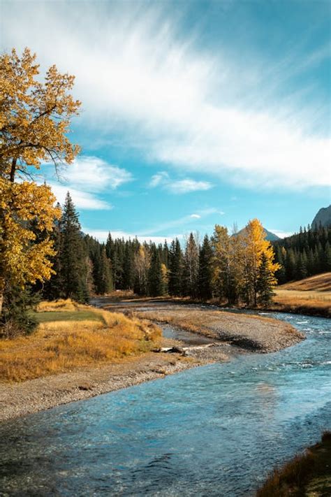 집 밖의 가을 강 경치 경치가 좋은 고요한 공원 관광 광야 국립 공원 그림 같은 나무 나뭇잎 떨어지다 로키산맥 맑은 물 모험 목가적인