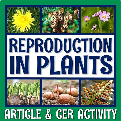 Specialized Structures For Plant Reproduction Activity Flying Colors Science