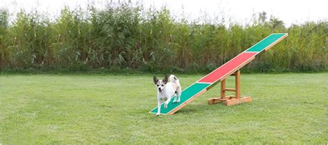 Agilidad Canina En Un Marco Pista De Agility Para Perros Pack De 8