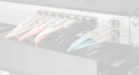 Network Security Vulnerability Scans Spector Security