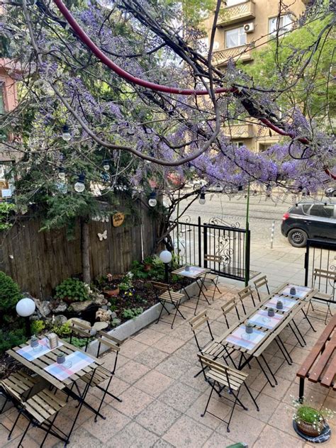 рожден ден за деца Тематични украси детски парти клуб