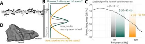 Perception Tell Me Something I Dont Know Elife