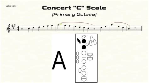 Alto Sax Concert C Scale Practice In Half Quarter All State Pattern