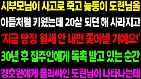 실화사연 시부모님이 사고로 죽고 늦둥이 도련님을 아들처럼 키웠는데 20살 되던 해 갑자기 사라지고 30년 후 기적 같은 일이 사이다 사연 감동사연 톡톡사연