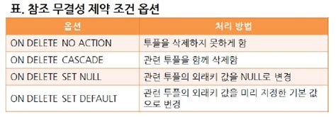 기본키 대체키 외래키 테이블 제약 조건