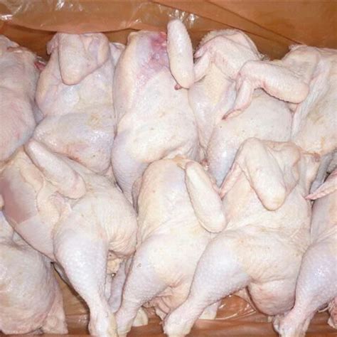Bulk Frozen Whole Chicken Frozen Chicken For Sale From Thailand