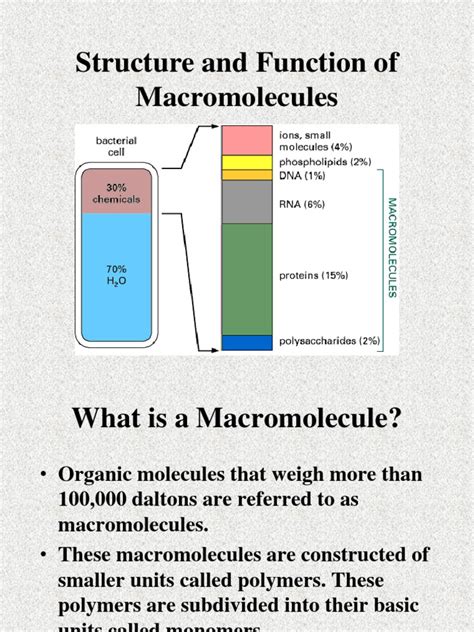 Structure And Function Of Macromolecules Ppt Lipid Polysaccharide