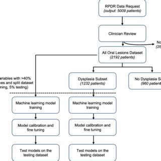 Project Workflow Schematic Download Scientific Diagram